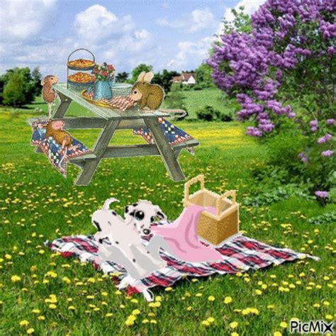 The Picnic Free Animated  Picmix