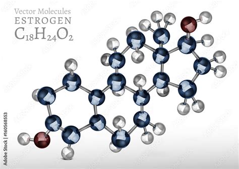 Estrogen Molecule Image Stock Vector Adobe Stock