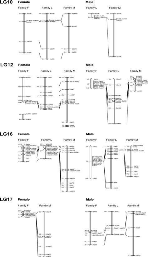 Clustered Marker Alignment Observed In Four Linkage Groups Distance