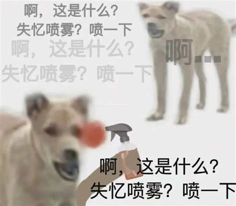 发疯表情包 人哪有不疯 的，硬撑罢了 高清图片，堆糖，美图壁纸兴趣社区