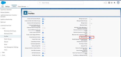 Salesforce Authenticated User Permission Requirements For Archive Own