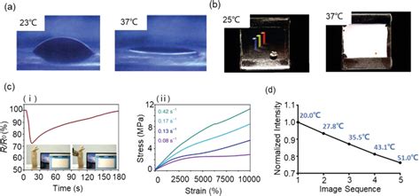 A Temperature‐sensitive Hydrogels With Geometrical Response Download Scientific Diagram