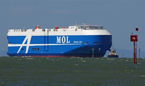 Mol Digitises Car Loading Databases Daily Cargo News