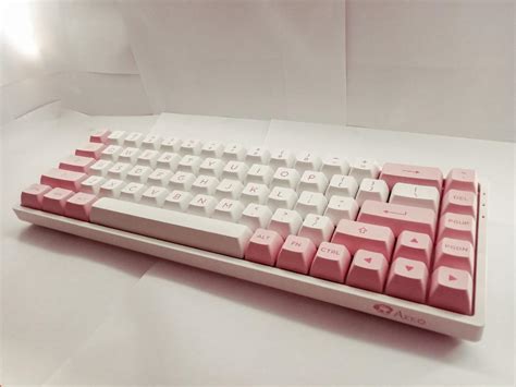 akko prunus lannesiana 3068b plus multi modes rgb hotswappable