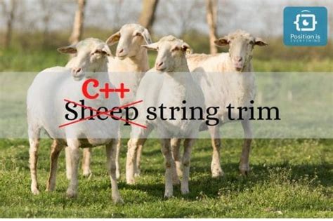 C String Trim Four Different Ways To Remove Whitespaces