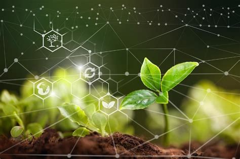 Soil Nutrients Images Search Images On Everypixel