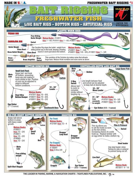 How To Set Up Bait For Bass Fishing At Roberta York Blog