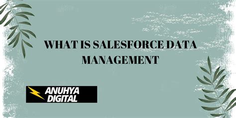 What Is Salesforce Data Management Learn Salesforce With Anuhya Digital