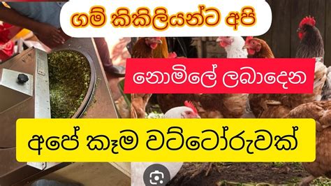 ගම් කිකිලියන්ට අපි නොමිලේ ලබාදෙන කෑම ව්ට්ටෝරුව Backyardfarming Rir Poultry Kukulupalanaya
