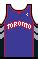 Toronto Raptors Wikipedia