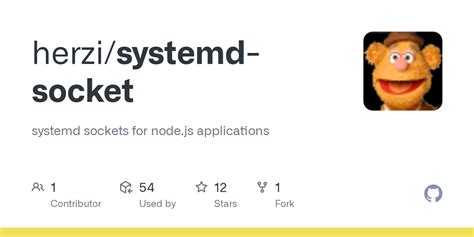 Github Herzisystemd Socket Systemd Sockets For Nodejs Applications