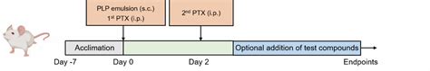 Proteolipid Protein Plp Induced Experimental Autoimmune