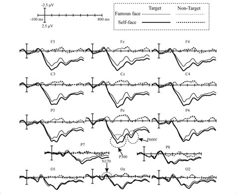 Superimposed Grand Averaged Event Related Potentials Elicited By The Download Scientific