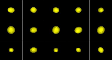 3d Visualization Of The Segmented Nuclei Images The Nucleus Is Solid Download Scientific