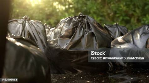 늪지대 물에 쓰레기로 가득 찬 검은 플라스틱 쓰레기 봉투를 닫습니다 3d 렌더링 0명에 대한 스톡 사진 및 기타 이미지 0명 가득 찬 가방 Istock