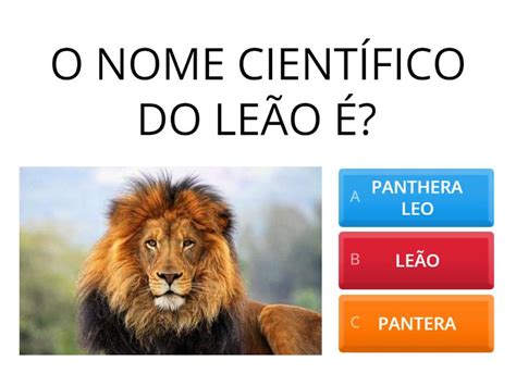 Verbete De EnciclopÉdia Do LeÃo 2° Ano Questionário