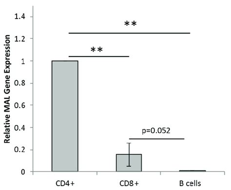Real Time Quantitative Pcr Rt Qpcr Analysis Of Mal Gene Expression In Download Scientific