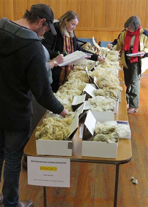 Call To Maintain Wool Classing Standards