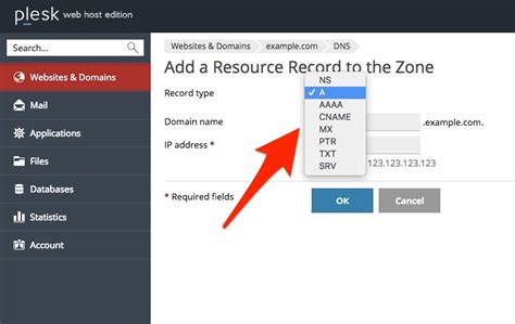 How To Add A Custom Dns Record In Plesk Control Panel
