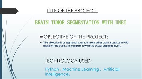 Brain Tumour Segmentation Devpost