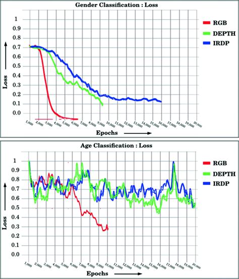 Gender And Age Estimation Loss Curve Of The Network On The Synthetic Download Scientific