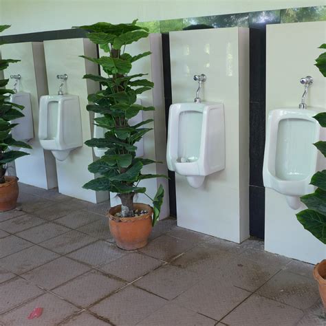 Urinal Block And Maintenence The Sydney Home Blog