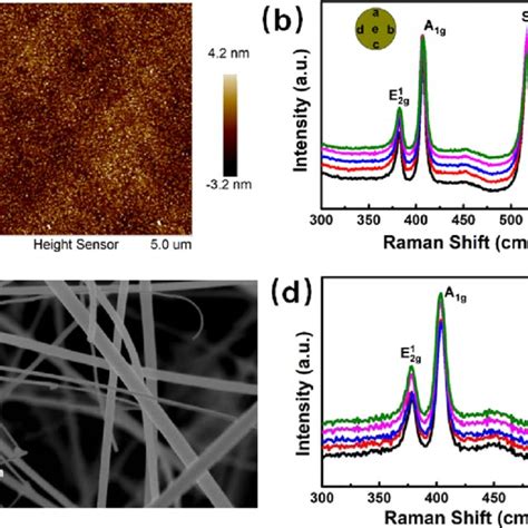 A Tem Image Of The Cross Section Of The Mos 2 Fet Used For Edx