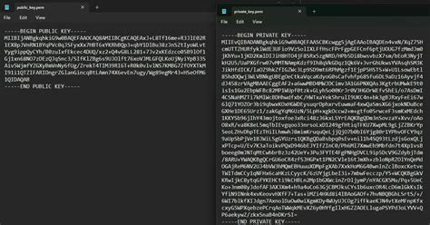 Secure Api Payloads Using Aes And Rsa Encryption In Angular And Net Core