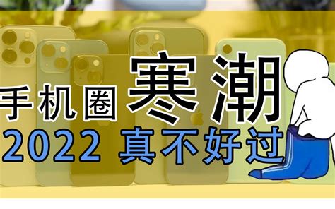 年轻人为啥都不愿意换手机了 苹果小米vivo手机销量集体减产 2022都不好过 哔哩哔哩