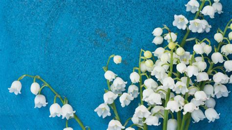 Muguet 1er Mai Tout Savoir Sur La Star Du Printemps Fleur Porte