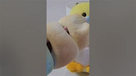 마지막 얼굴 짤렸어용ㅠㅠ 관리자님추천뜨게해주세요 관리자님잘생겼어요 리즘아띄워줘 리즘아도와줘 Youtube