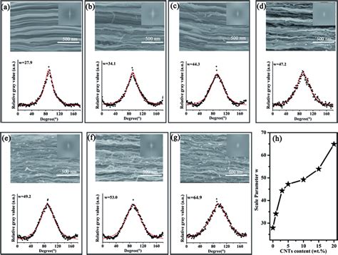 Cross Plane Sem Images Up Fft Frequency Domain Images Inset And