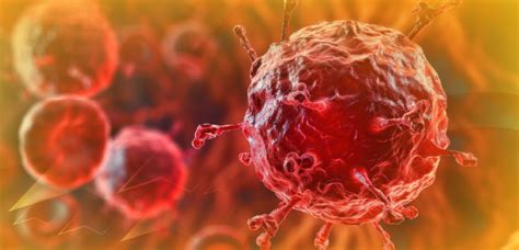 Whats New In 2024 From The Clsi Subcommittee On Antimicrobial Susceptibility Testing