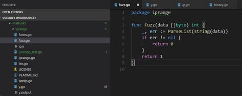 Learning Go Fuzz 1 Iprange
