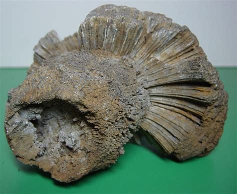 Метафизика каменных колонн и кристаллические решетки планеты Geology Mineral Structure