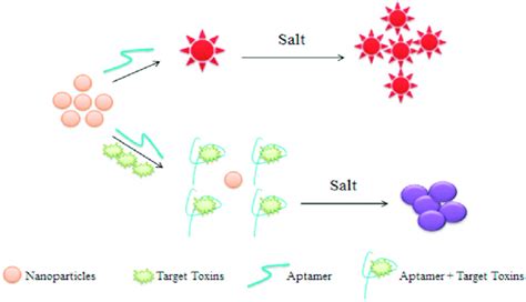 Schematic Diagram Of A Colorimetric Biosensor Download Scientific Diagram