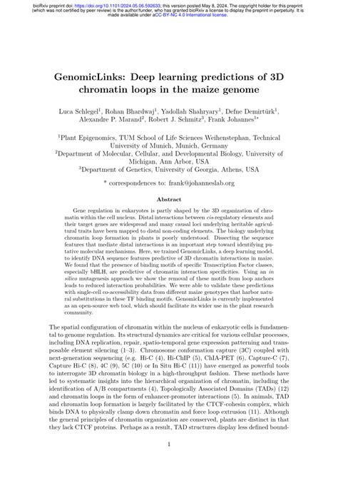 Pdf Genomiclinks Deep Learning Predictions Of 3d Chromatin Loops In The Maize Genome