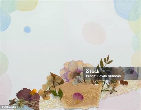 복사 공간이있는 수채화 배경에 말린 꽃과 잎이있는 골판지 바구니 인사말 카드 결혼식 또는 이벤트 초대장 0명에 대한 스톡 사진 및 기타 이미지 Istock