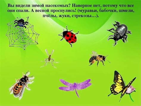 Насекомые весной картинки для детей