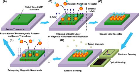 Schematic Diagram Showing The Repeated Sensing Operations Of A Reusable