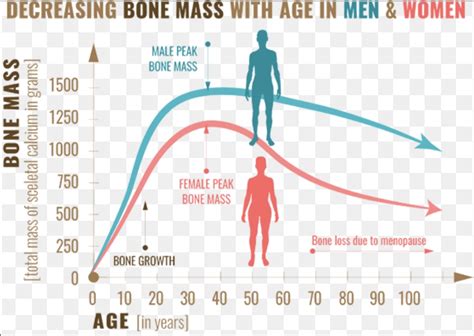 What Is Muscle Loss Atrophy And Osteoporosis Sharron Davies Training
