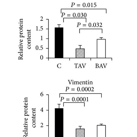 Expression Of Smooth Muscle Cell SMC Markers In SMC From Patients Download Scientific Diagram