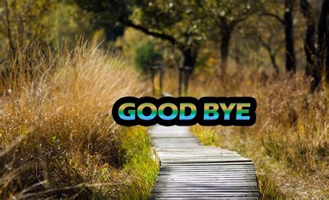 Goodbye Ikumen