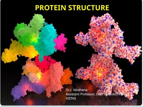 Protein Structure And Levels Of Proteins Pptx