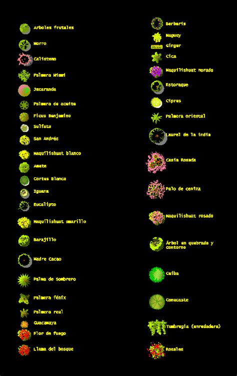 Vegetation Trees And Top View In DWG MB CAD Library