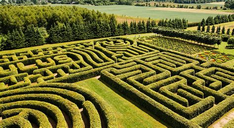 Capital Vs Revenue Swapping Assets Doesnt Swap Their Nature Cliffe Dekker Hofmeyr