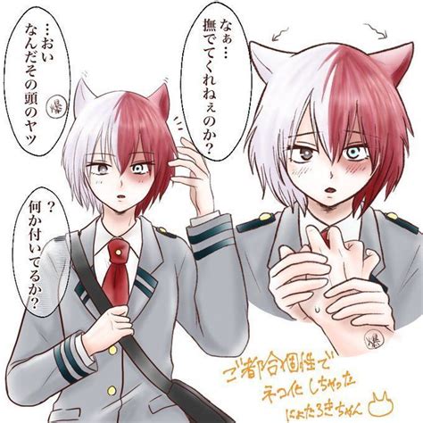 Pin En Todoroki Fem