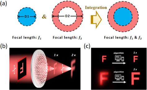 Schematic Of The Design And Working Principle Of A Download Scientific Diagram