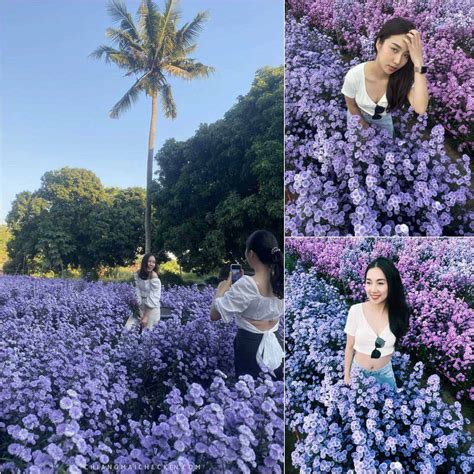 สวนดอกไม้ลุงลพ ที่เที่ยวเชียงใหม่ ดอกไม้สีสวย วิวดีสวนภายในมีพรอพให้สาวๆถ่ายรูปเก็บกันอีกด้วย
