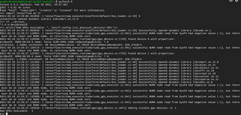 Could Not Load Libcusolverso10 With Tf Nightly Gpu · Issue 47705
